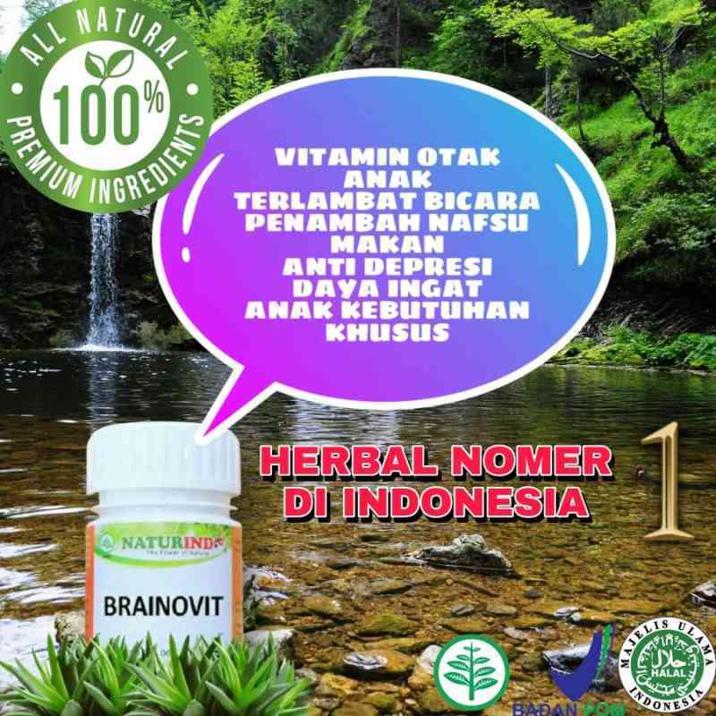 Jual Jamu Obat Herbal Brainovit Ekstrak Pegagan Strechmark Kecerdasan ...
