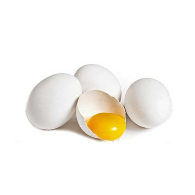 Jual Telur / telor Ayam Kampung satuan di Seller PUTRA SADEWATA - Kebon ...