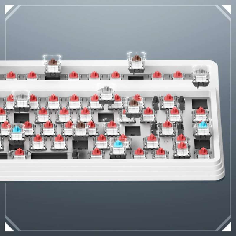 Jual Iqunix L80 Formula Typing Wireless Rgb Mechanical Gaming Keyboard ...