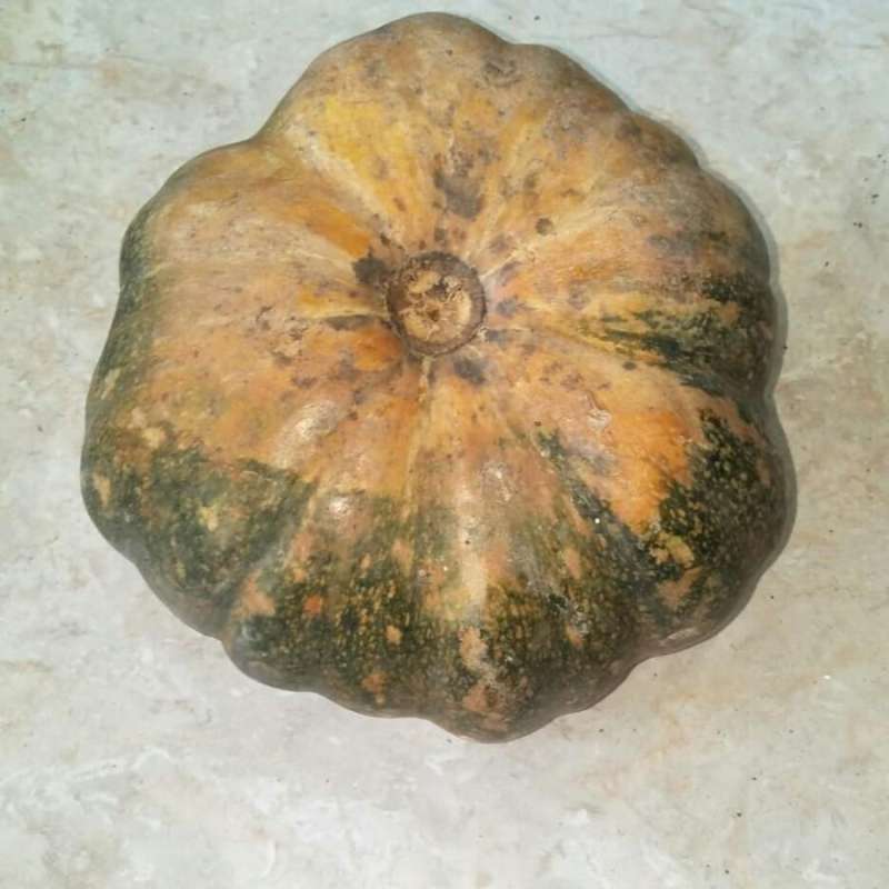 Jual Labu Kuning Atau Waluh Ukuran Berat 1 Kg - Ibaza Fruitbox - 1 Kg ...