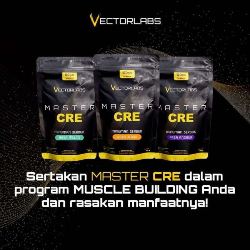 Jual Vectorlabs Master Cre Creatine Monohydrate - 300 Gram (60 Servings ...