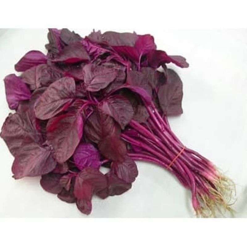 Jual Pre Order -Organic Red Spinach - Bayam Merah Organik - [250g] di ...
