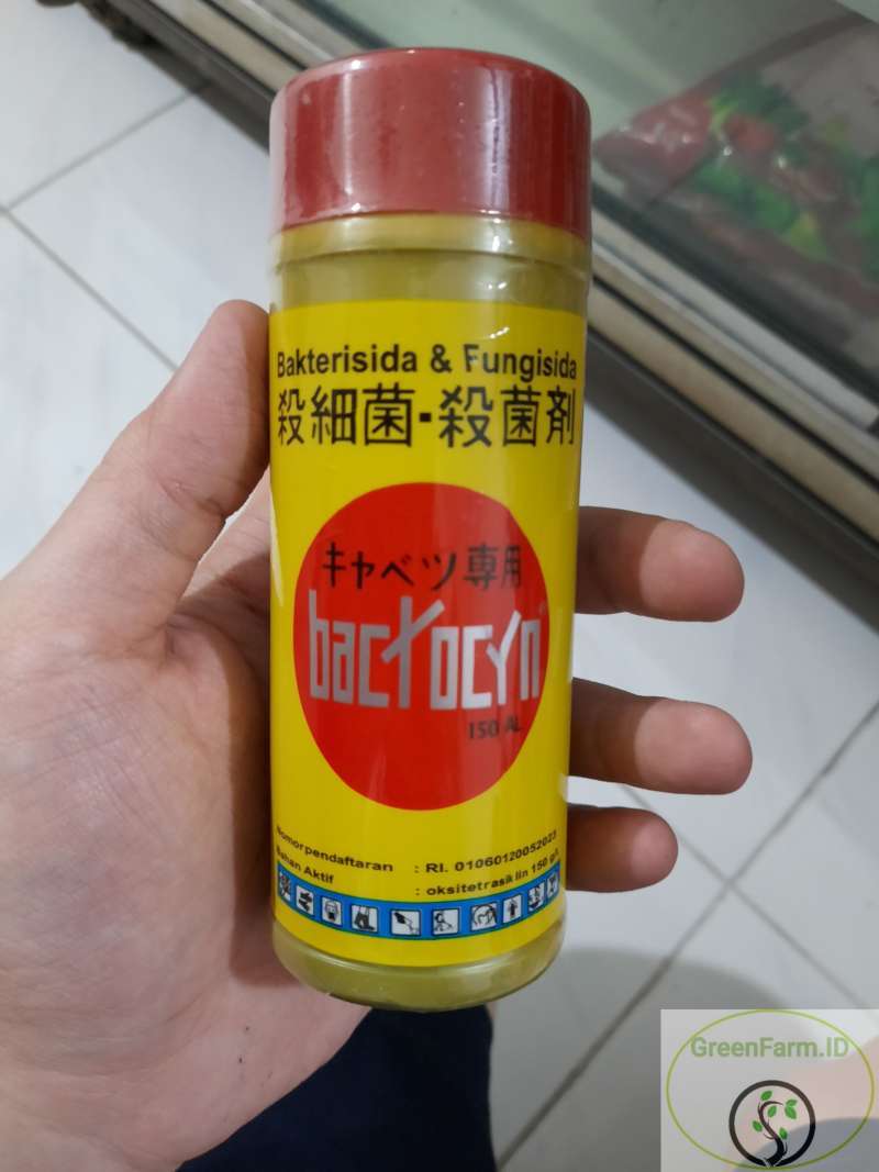 Jual Bakterisida dan Fungisida Bactocyn 200ml di Seller GreenFarm.ID ...
