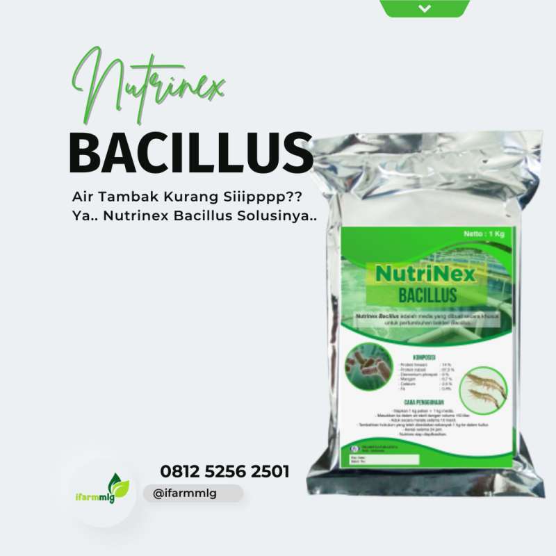 Jual Nutrinex Bacillus 1 Kg – Media Khusus untuk Pertumbuhan Bakteri ...
