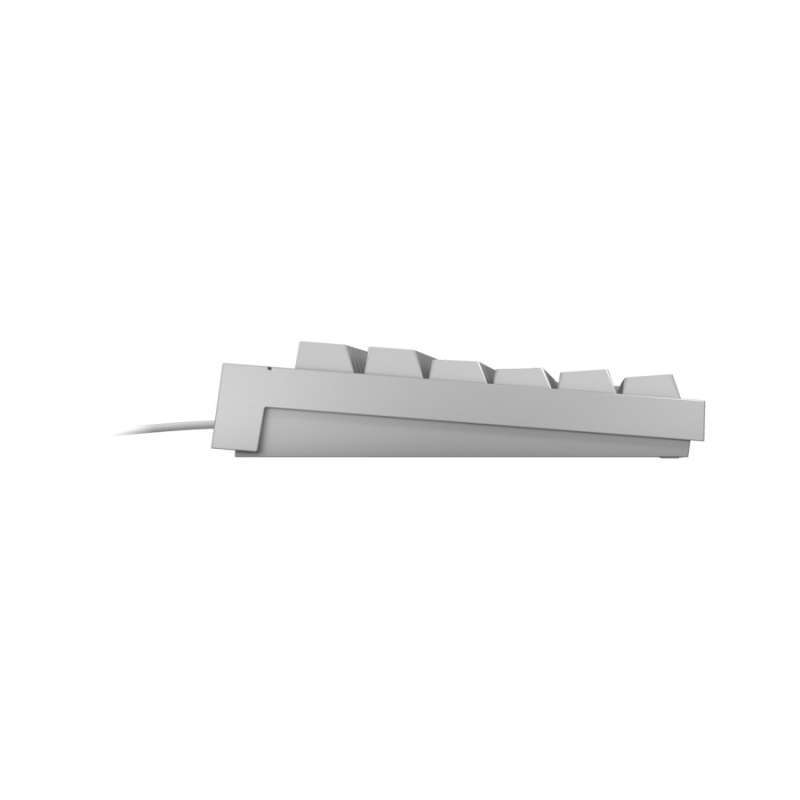 Promo Cherry Mx 2.0s Rgb Mechanical Gaming Keyboard White - Blue Switch ...