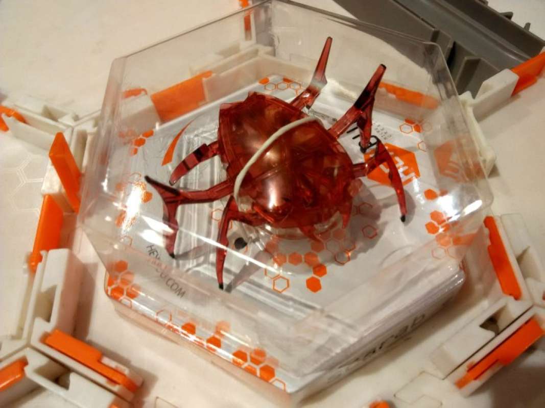 Jual Hexbug Scarab, Robot Serangga Super Seru di Seller DM Otomotif ...