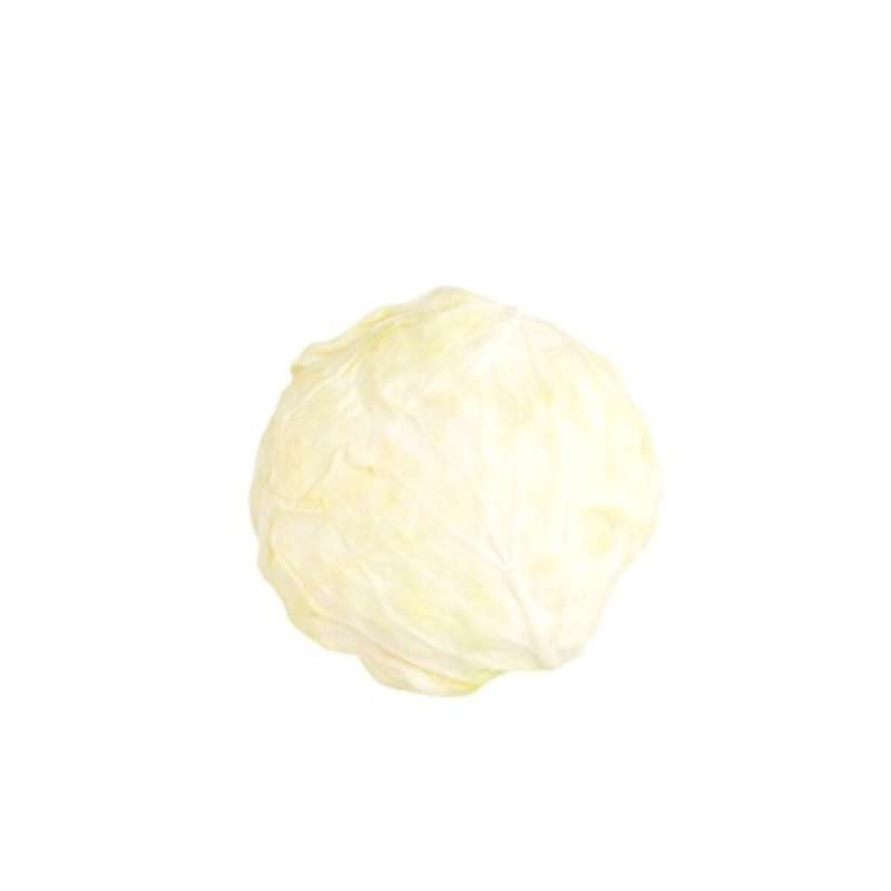 Promo Kol putih 1kg Diskon 6% di Seller Farmers Market Kemayoran ...