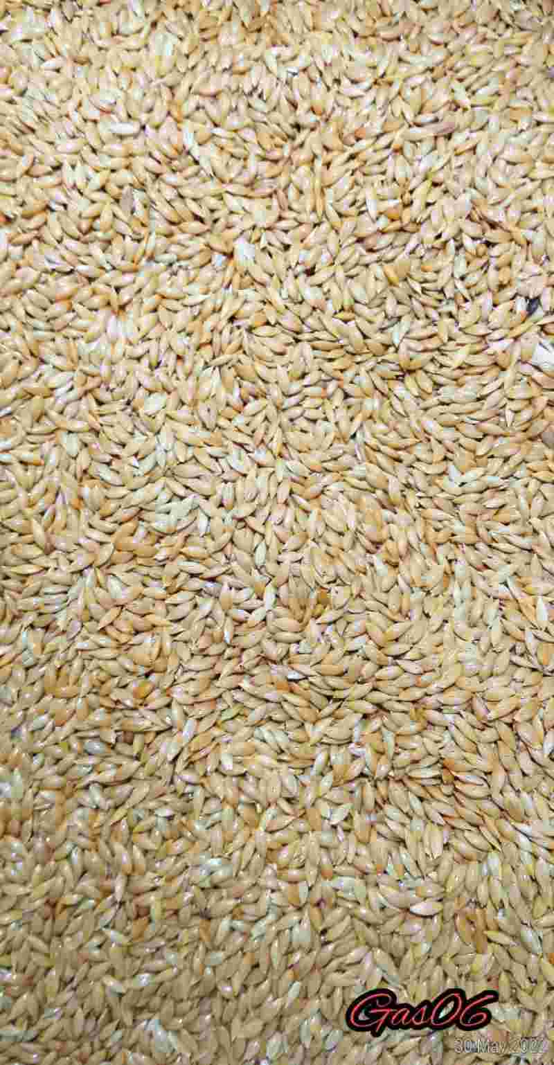 Toko Griya.elfar(gas.06) Online Original & Harga Terbaik | Blibli