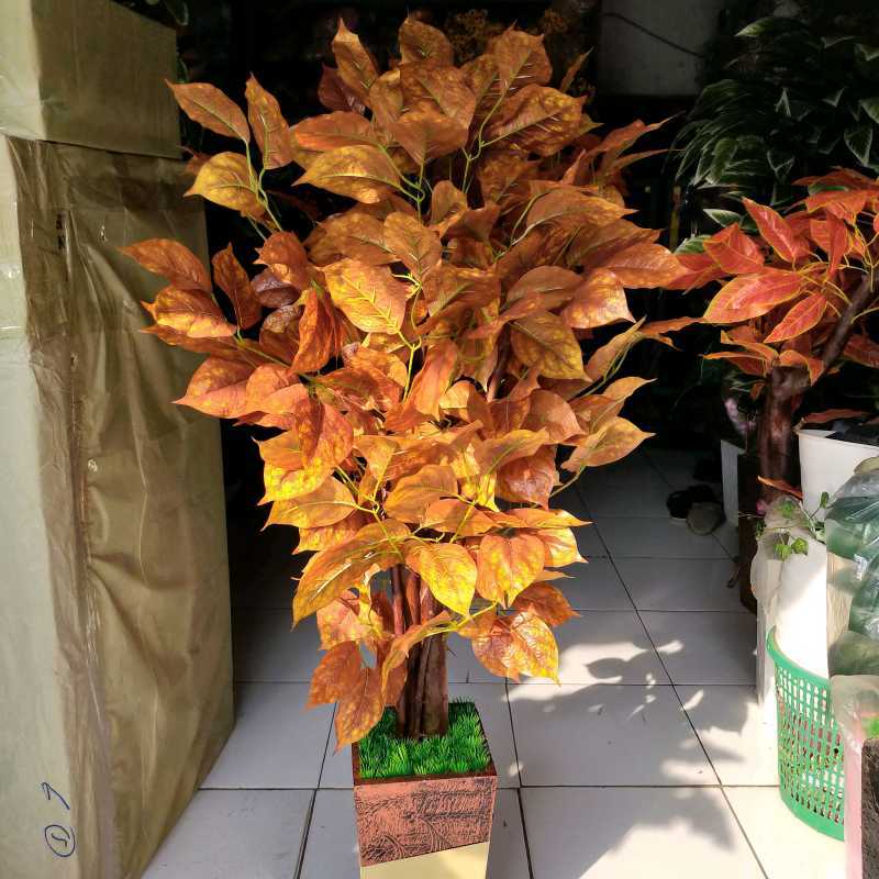 Jual POHON SINFU COKLAT 150CM/POHON PLASTIK/POHON HIAS ARTIFICIAL/BUNGA ...
