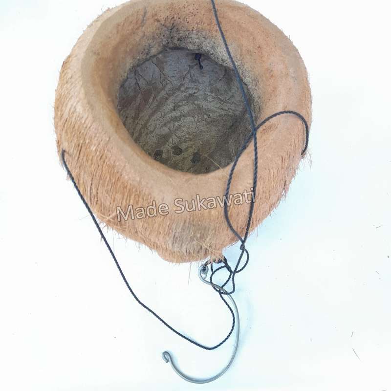 Promo Kerajinan Pot bunga tanaman Bahan Batok serabut kelapa motif ...