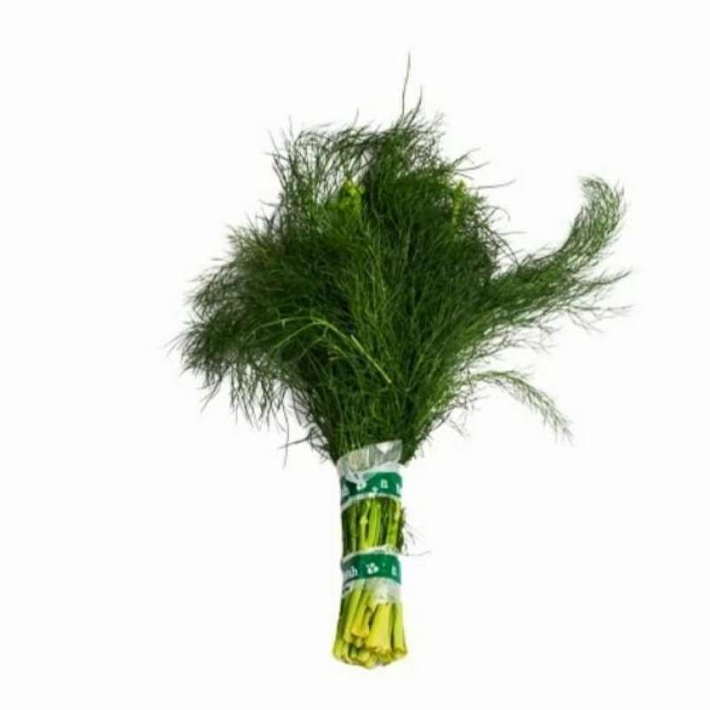 Jual Daun Dill Fresh Adas harga per ikat di Seller QeenFood - Kota ...