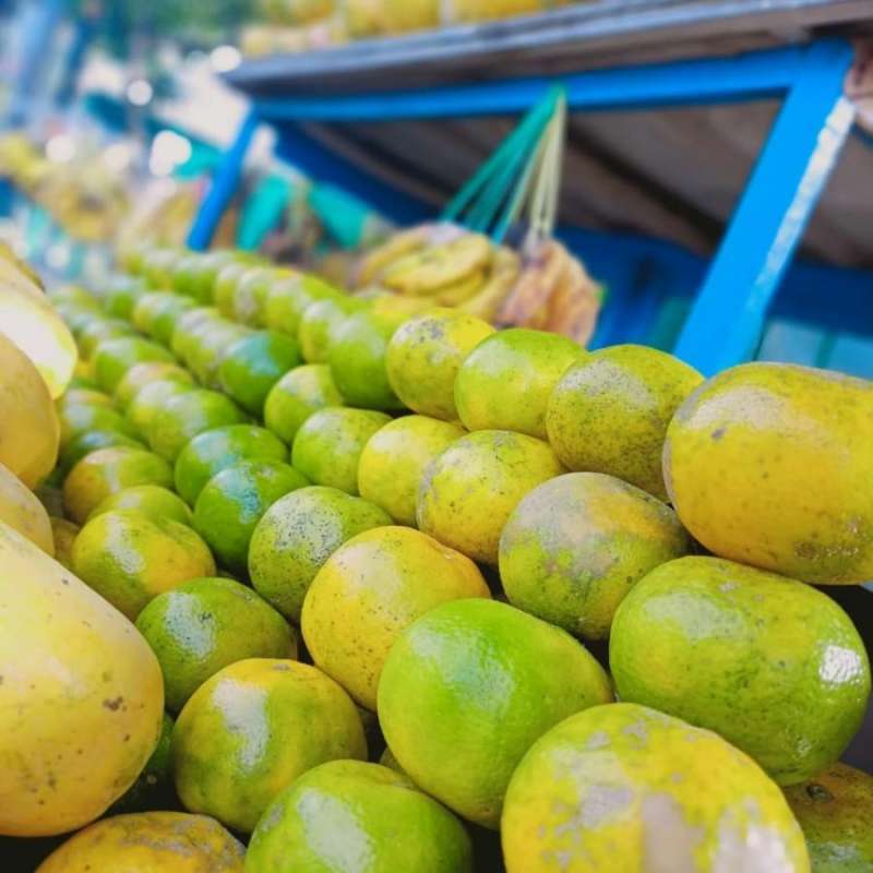 Jual Jeruk Medan di Seller SR BUAH SEGAR - Antapani Kulon, Kota Bandung ...