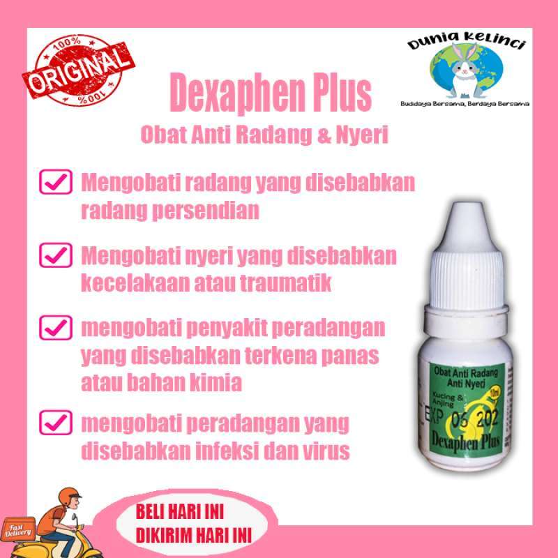 Jual Obat Panas Dalam Pada Kucing Termurah - Harga Grosir Terupdate ...