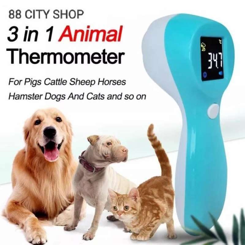 Jual Termometer Khusus Hewan Anjing Kucing | Animal Infrared ...