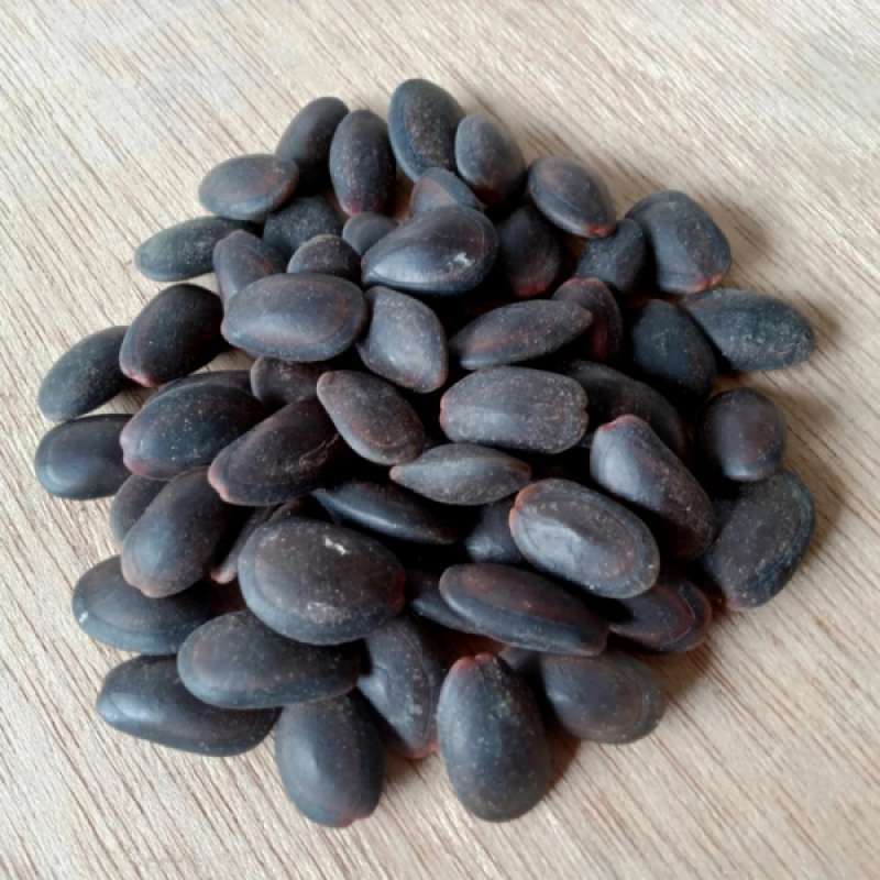 Jual Biji Kedawung 250g Kedaung Kwalitas Premium Di Seller Tunggaksemi ...