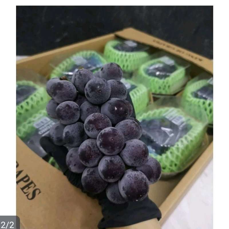 Jual buah anggur kyoho korea Halal di Seller fruits RS Riansyah - NK ...