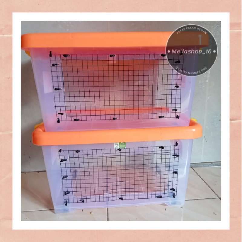Jual Kandang Reptil, Hamster box container di Seller Enigma - Kapuk ...