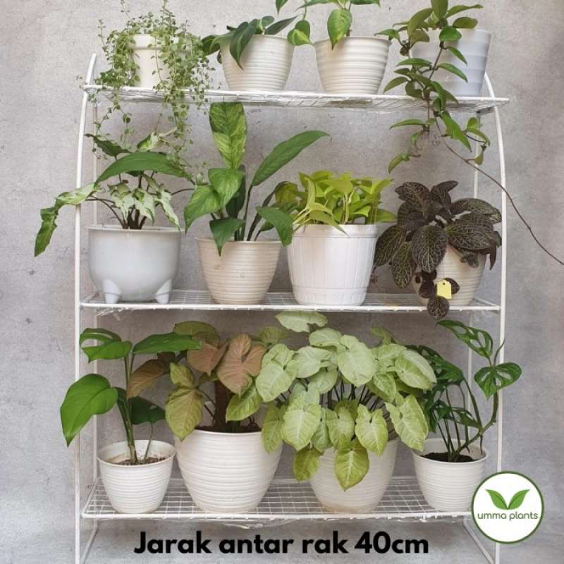 Promo Rak Besi Ram Putih Diskon 3% Di Seller Dh_grub - Wanajaya, Kab ...