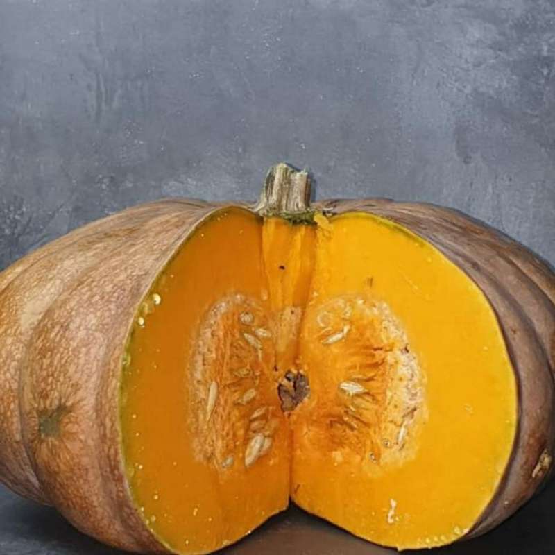 Jual LABU KUNING/LABU PARANG/WALUH 1 PCS di Seller WARUNG SAYUR SEGAR ...