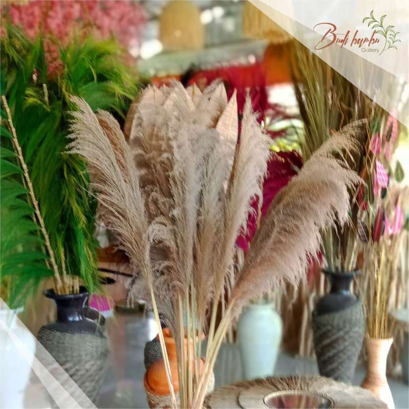 Jual Pampas Natural / Rayung / Dried Pampas Grass/ Bunga Kering Rustik ...