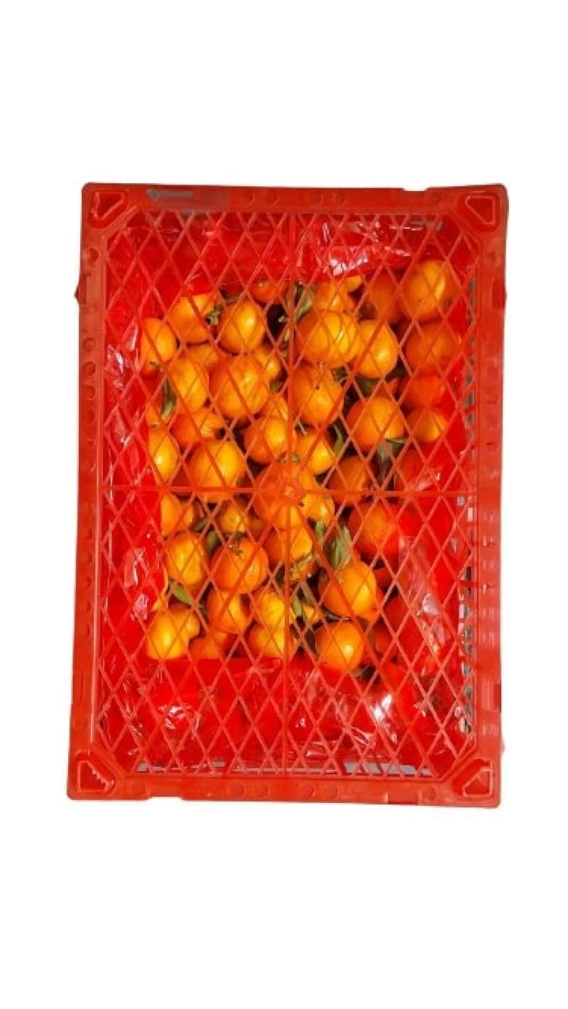 Jual JERUK MANDARIN GOLD IMPERIAL (BOX) di Seller Ranch Market Taman ...