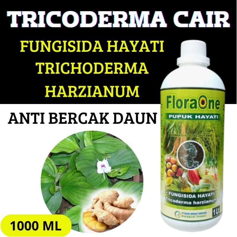 Promo Pupuk Untuk Bibit Kencur, Trichoderma Harzianum Fungisida Hayati ...