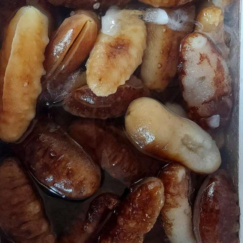 Jual Teripang Laut Haisom Basah Haisem Haison Tripang Hoisem Makanan ...