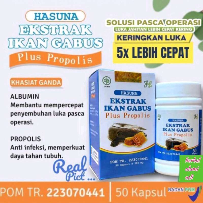 Jual Ekstrak Ikan Gabus Kutuk Plus Propolis HASUNA BPOM 50 Kapsul @500mg di Seller Toko_Jowo99 ...
