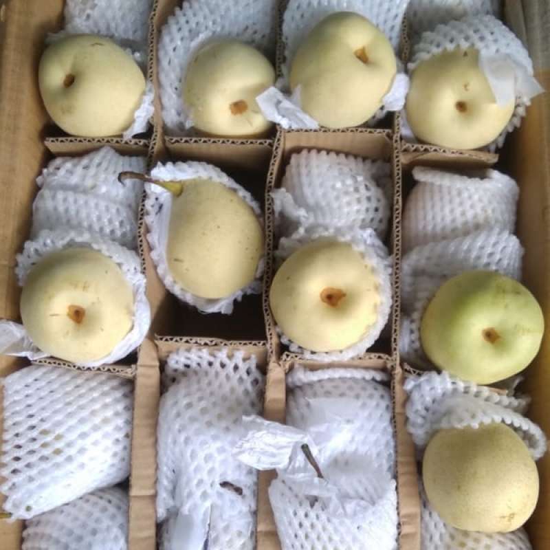 Jual Pear Ya Lie 1 Kg Terdekat 🏷️ Harga Grosir Murah Terupdate Hari Ini ...