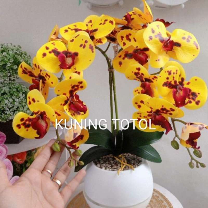 Promo Rangkaian anggrek latex import 4 tangkai vas bulat bunga hiasan ...