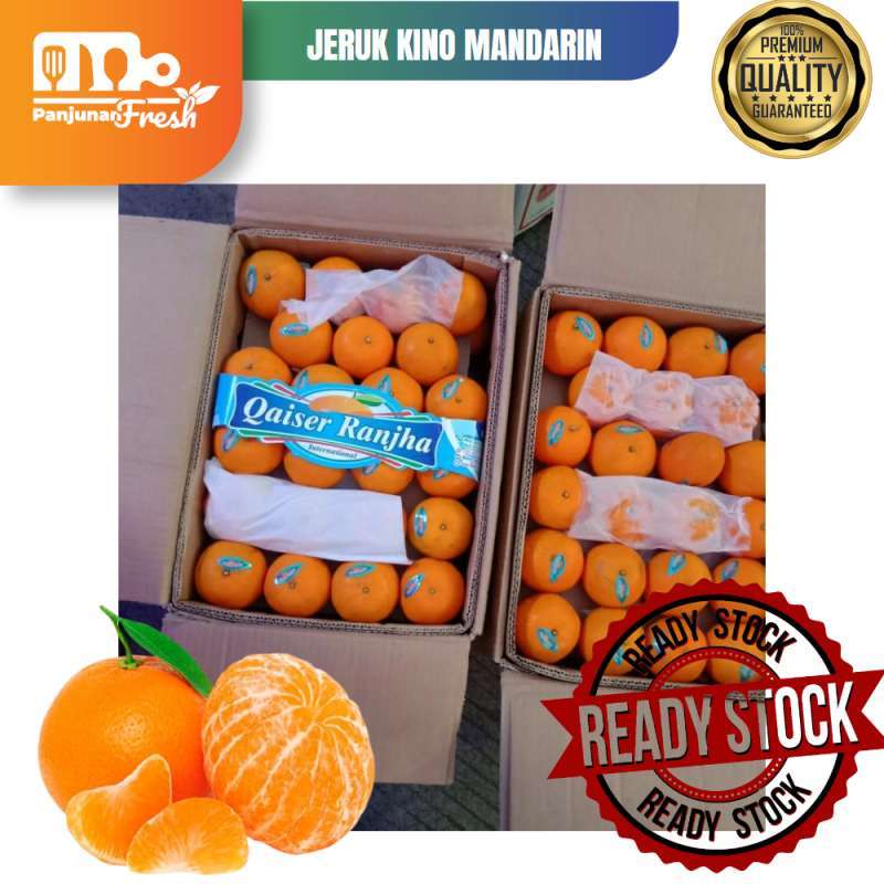 Jual Jeruk Pakistan 1 Kg Termurah - Harga Grosir Terupdate Hari Ini ...