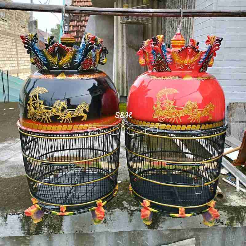 Jual Sangkar Burung Perkutut Mahkota Merak Fiber Di Seller Snh Stores ...