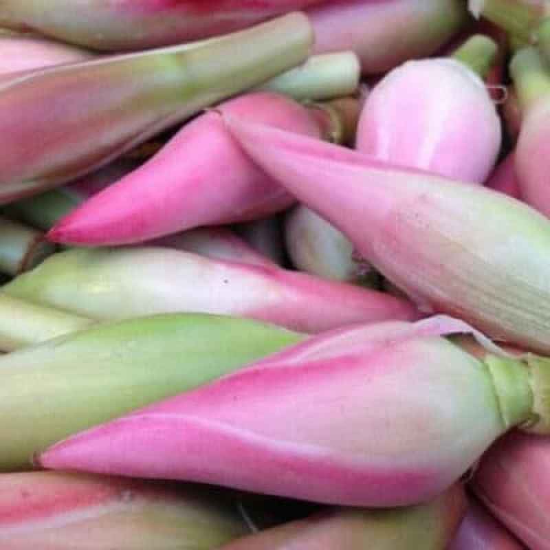 Jual Nyonya Sayur Bunga Kecombrang [100 Gr] Di Seller Nyonya Sayur ...