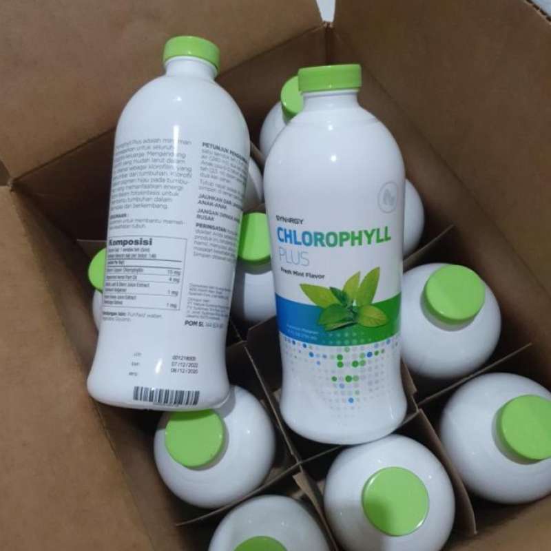 Jual Synergy Liquid Chlorophyll Plus Fresh Mint Flavour 730ml Klorofil ...