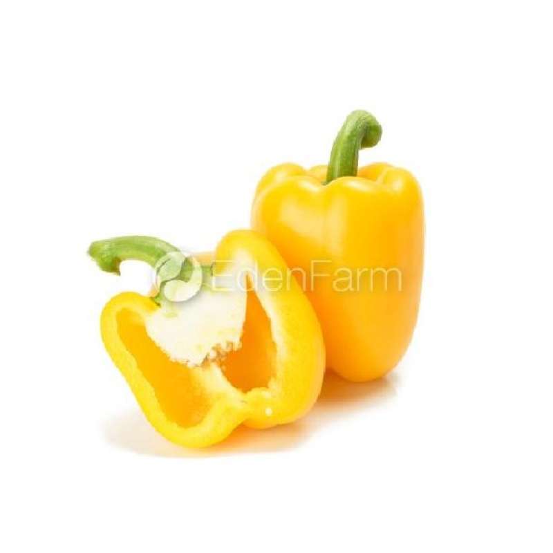 Jual Paprika Kuning Segar 1 Kg Halal di Seller SayurWoori - Serdang ...