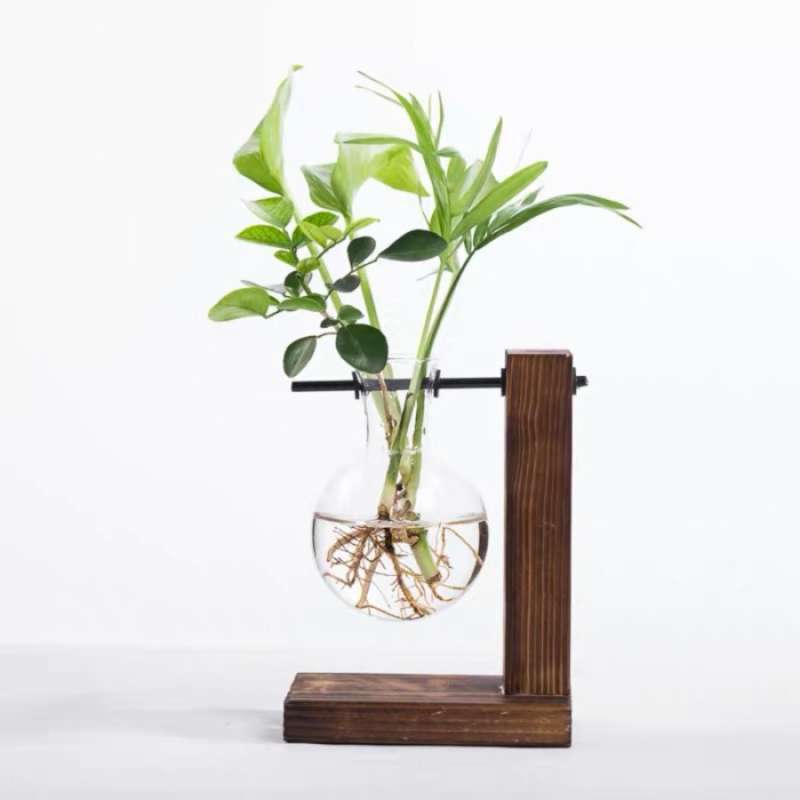 Jual POT Tanaman Mini Aesthetic bahan KACA KAYU di Seller SEMUA ADA ...