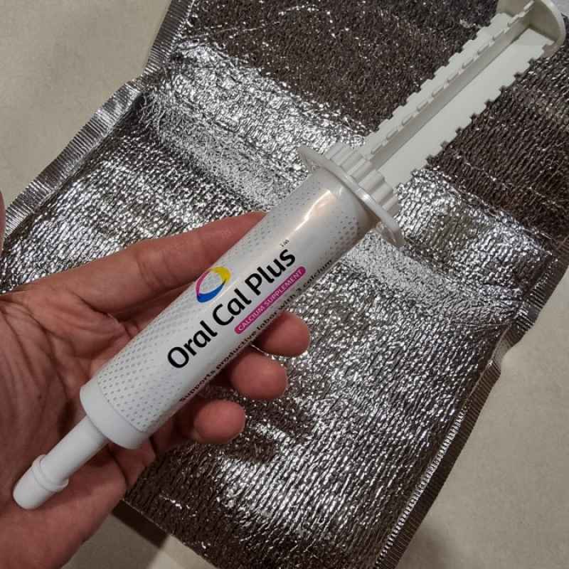 Jual Ready!! Oral Cal Plus For Dog/Cat Pregnant Corgi di Seller Enigma ...