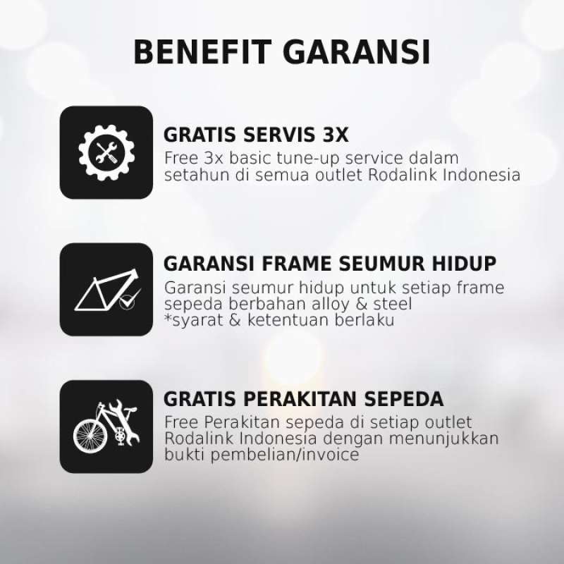 Jual Polygon Zeta Mixte Sepeda Minivelo Klasik Di Seller Rodalink ...