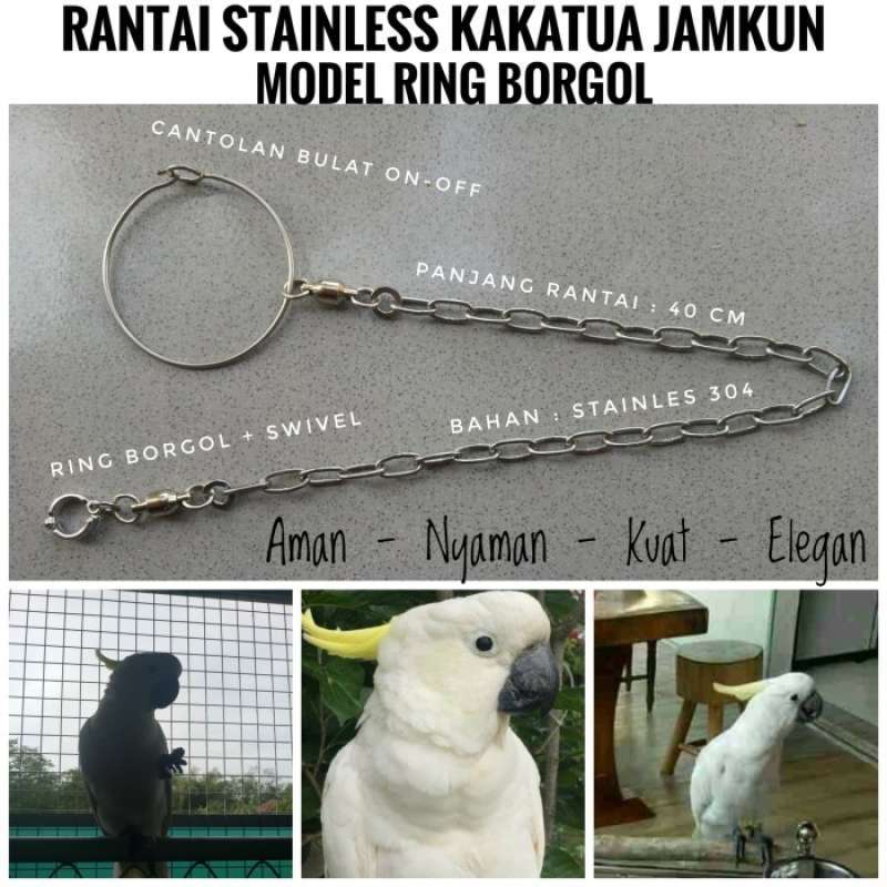 Promo Rantai Stainless Model Borgol Kakatua Jamkun Diskon 17% di Seller ...