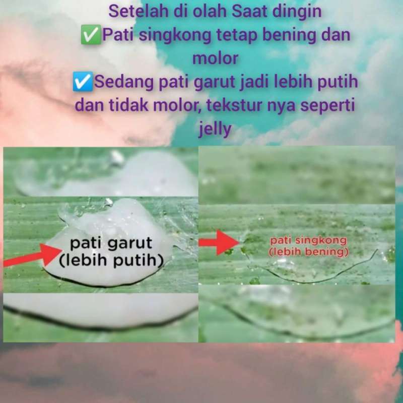 Jual Tepung Pati Garut/ Irut Asli Di Seller Toko Hanzaqi - Toko Hanzaqi ...