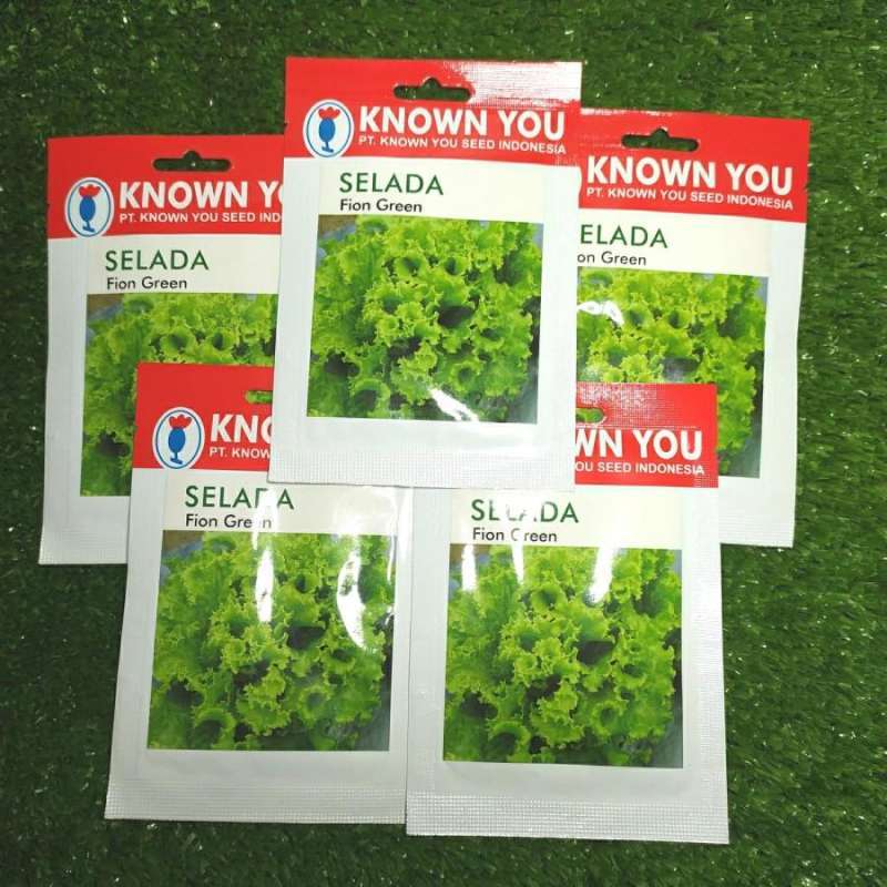 Jual Perkecambahan Benih Selada Original Murah - Harga Diskon April ...