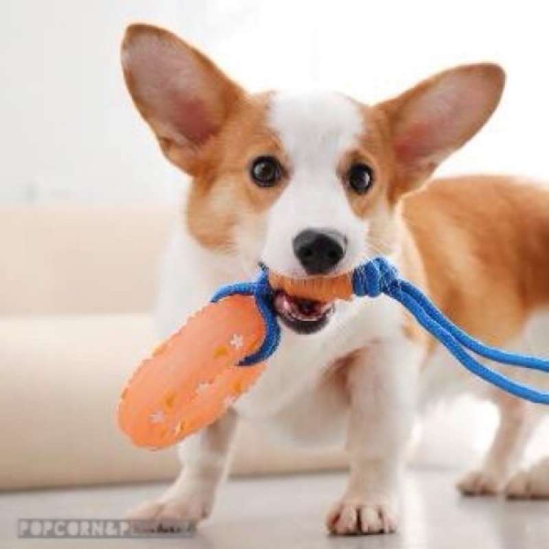 Promo Mainan Gigitan Anjing Besar Model Donut Dengan Tali Cute Donut ...