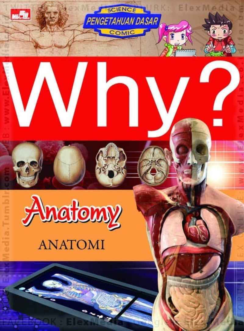 Jual Buku Why? Anatomy Di Seller Bane Store - Cilandak Timur, Kota ...
