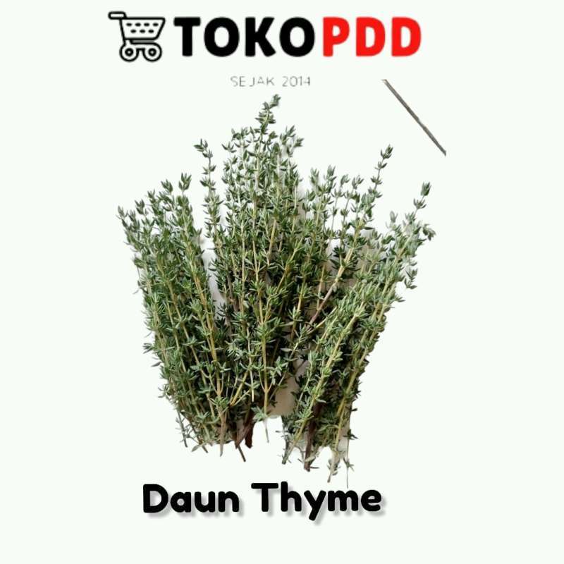 Jual Daun Thyme Segar Thyme Fresh Daun Timi 1 Kg Halal di Seller PDD ...