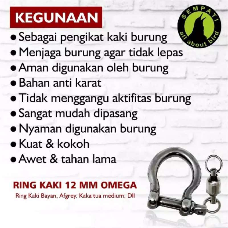 Jual Ring Omega 12 Mm Gelang Rantai Besi Untuk Kaki Burung Bayan Afgey ...