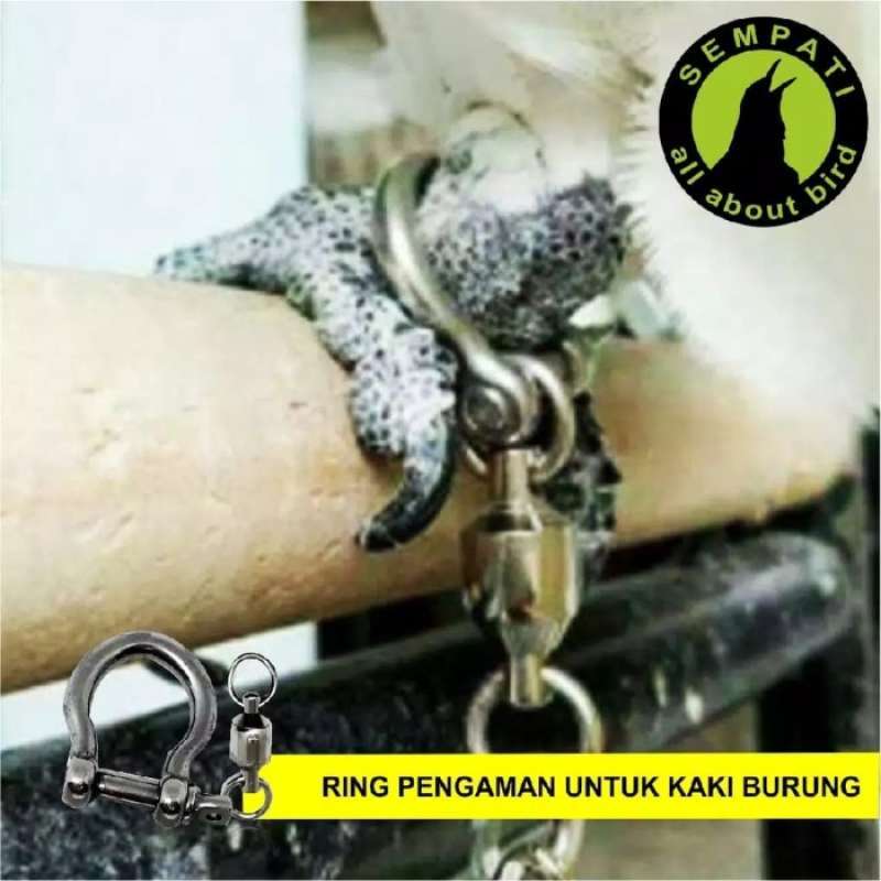 Jual Ring Omega 12 Mm Gelang Rantai Besi Untuk Kaki Burung Bayan Afgey ...