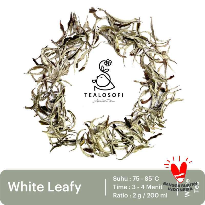 Jual White Leafy - Indonesian White Tea Silver Needle - Daun Teh Putih ...