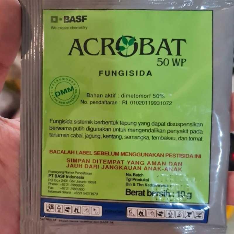 Jual Acrobat 50 Wp Original Murah - Harga Diskon April 2024 | Blibli.com