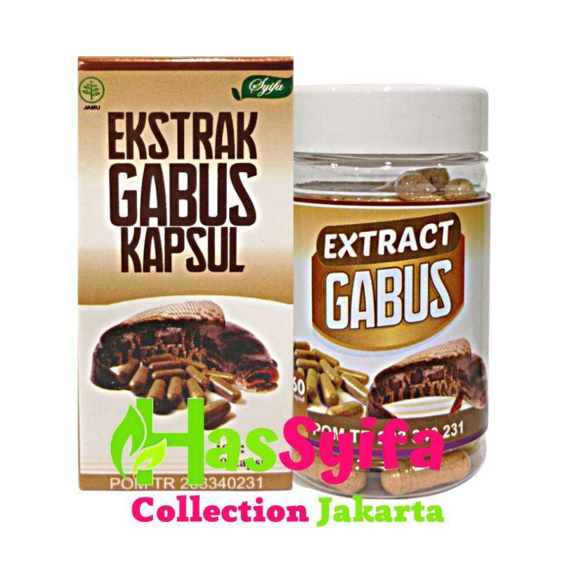 Jual Kapsul Ekstrak Ikan Gabus - Kapsul Ekstrak Ikan Gabus Syifa isi 60 ... Jual Kapsul Ekstrak Ikan Gabus - Kapsul Ekstrak Ikan Gabus Syifa isi 60 ...