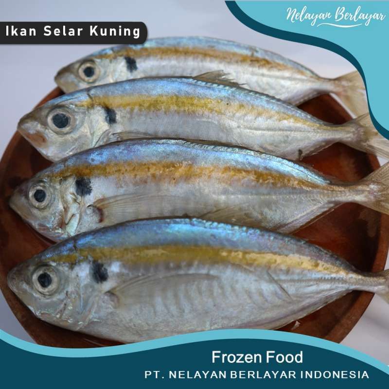 Promo Ikan Selar Kuning Segar Super [ 1kg ] - Nelayan Berlayar Diskon ...